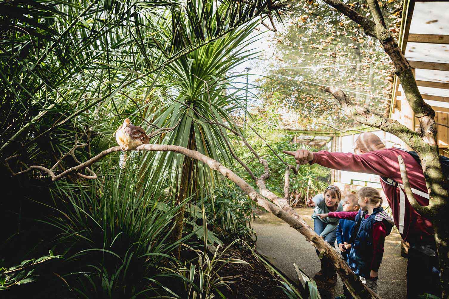 Plan your Visit - Newquay Zoo