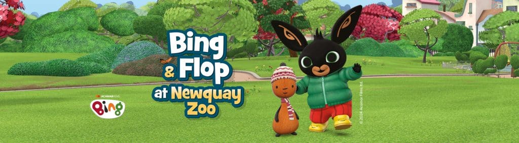 Bing & Flop - Newquay Zoo