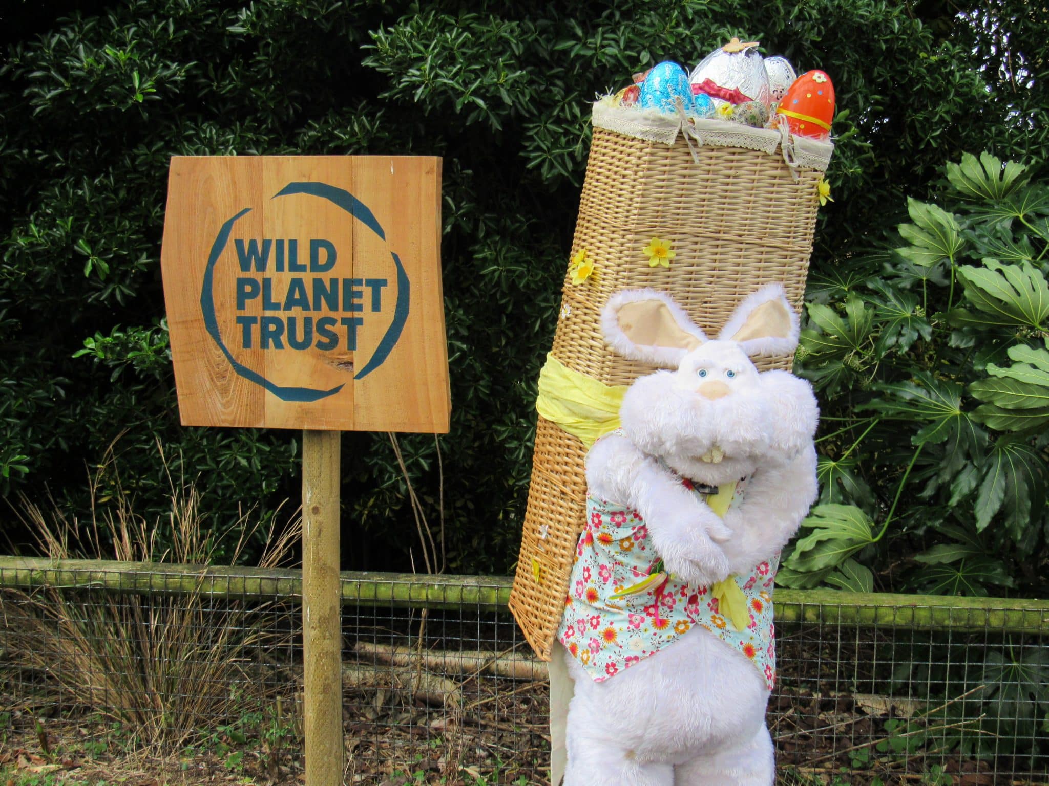 A HARE-RAISING ADVENTURE AWAITS: EASTER FUN FOR THE WHOLE FAMILY AT ...